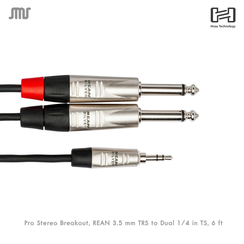 Hosa (HMP-006Y) Pro Y Cable Breakout 3.5 mm TRS to Dual 1/4 in TS 6FT ...